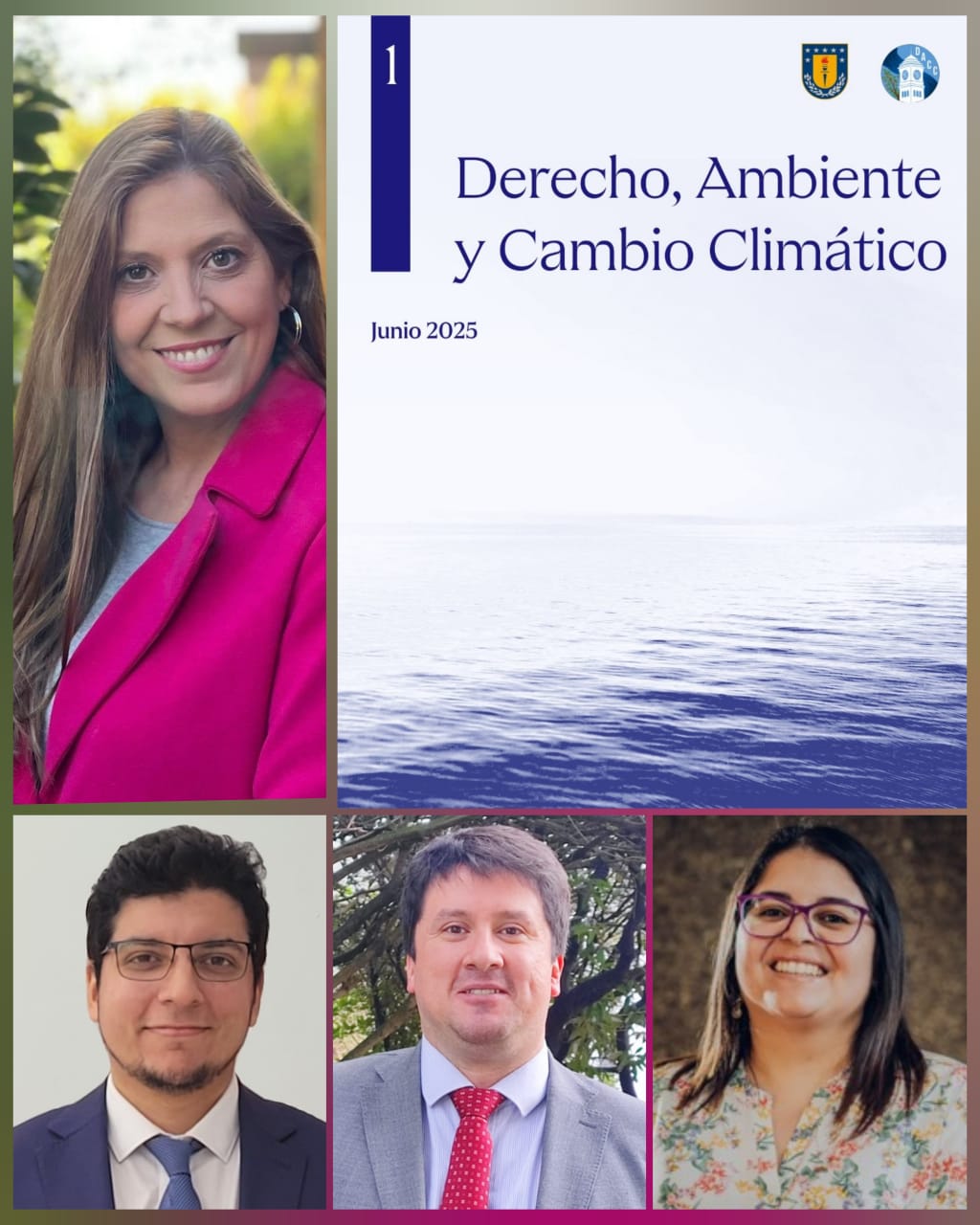Nueva Revista Derecho, Ambiente y Cambio Climático de la Universidad de Concepción abre su ...